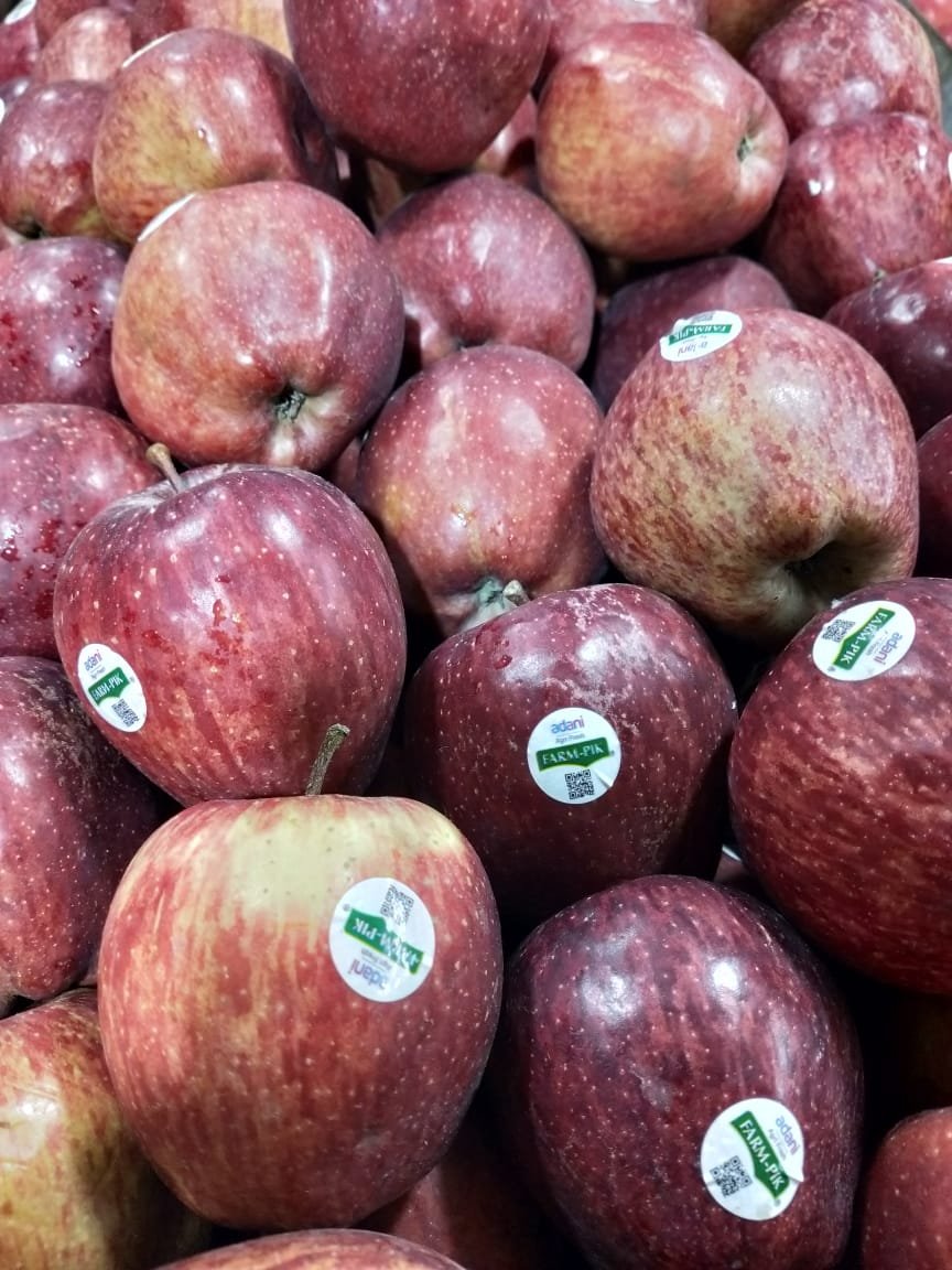 HOME DELIVERY of Apple- Shimla A1, 1 KG ORDER NOW